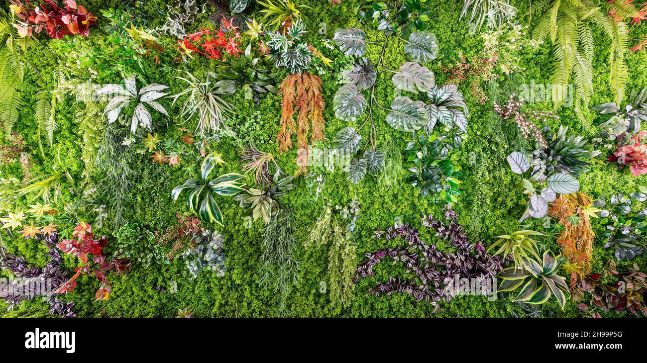 Panoramic front view of colorful vertical garden of artificial plants ...