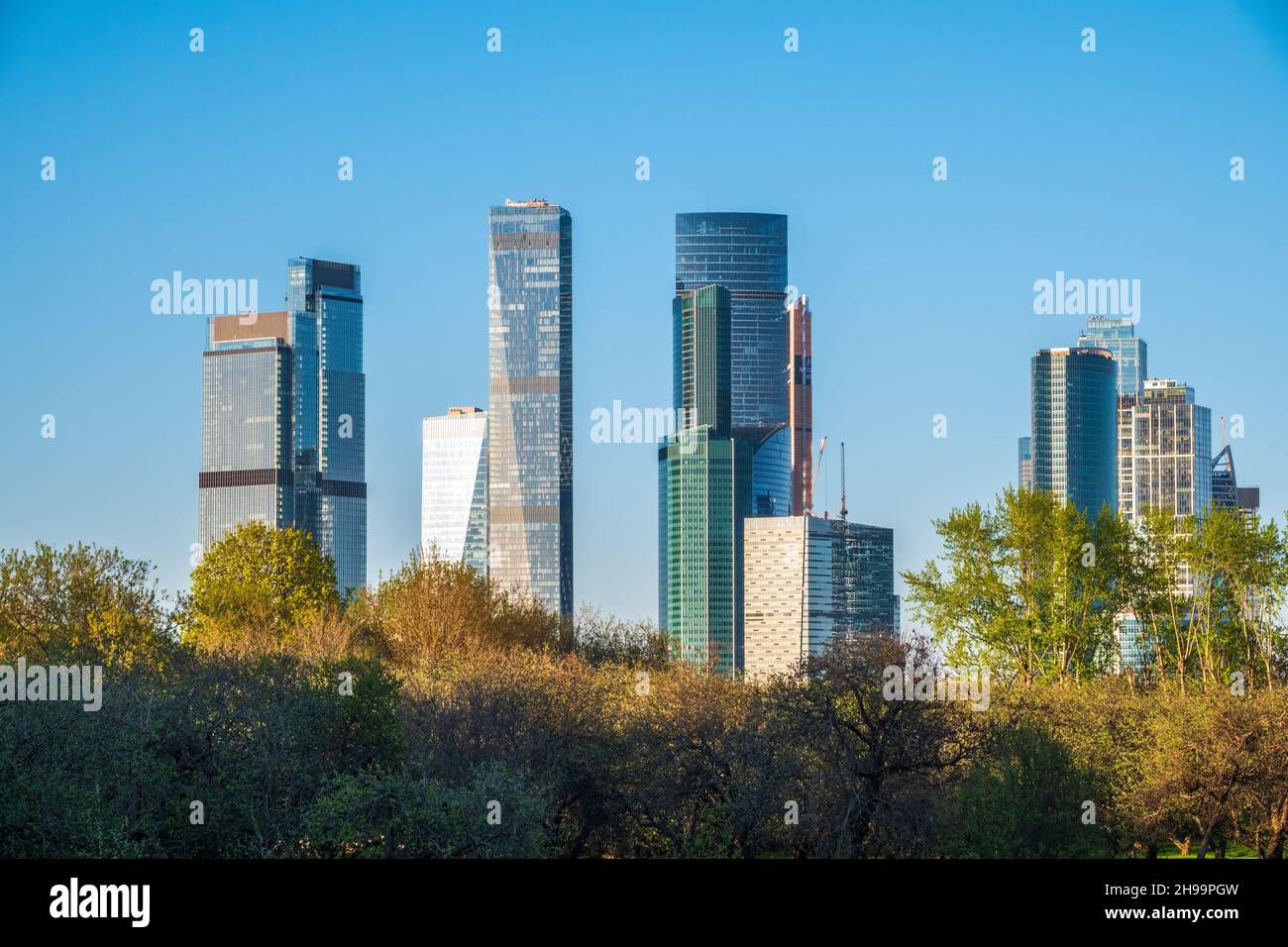 Green trees on background modern skyscrapers in the Moscow city Stock ...