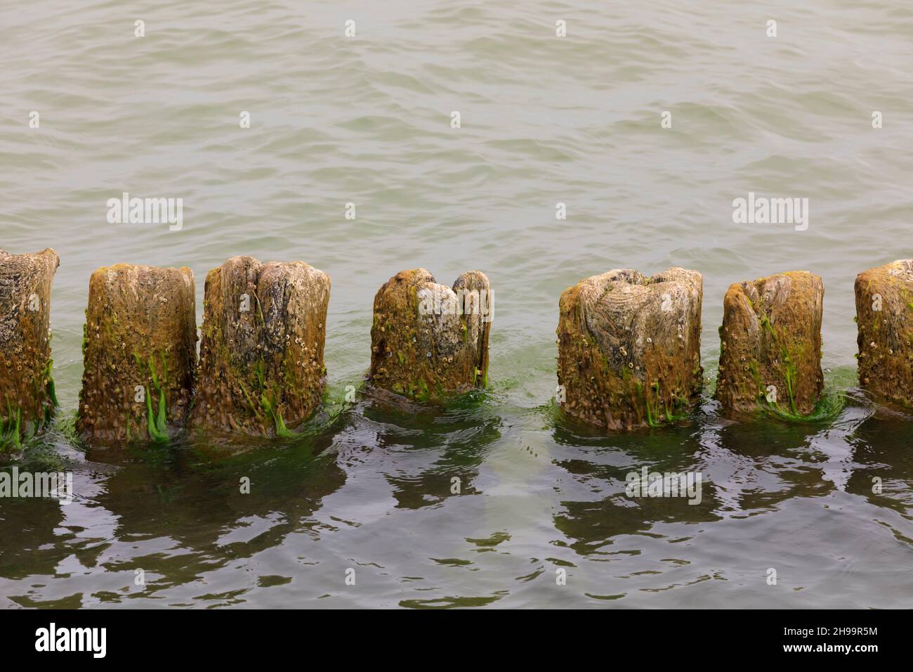 The calm sea waters. These wooden breakwaters still serve to protect ...