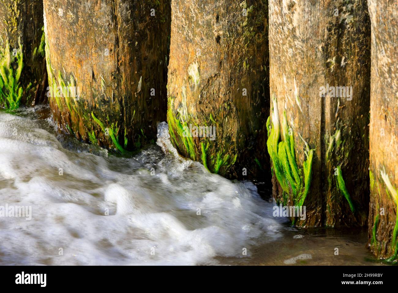 Massive breakwaters. These wooden breakwaters serve to protect the ...