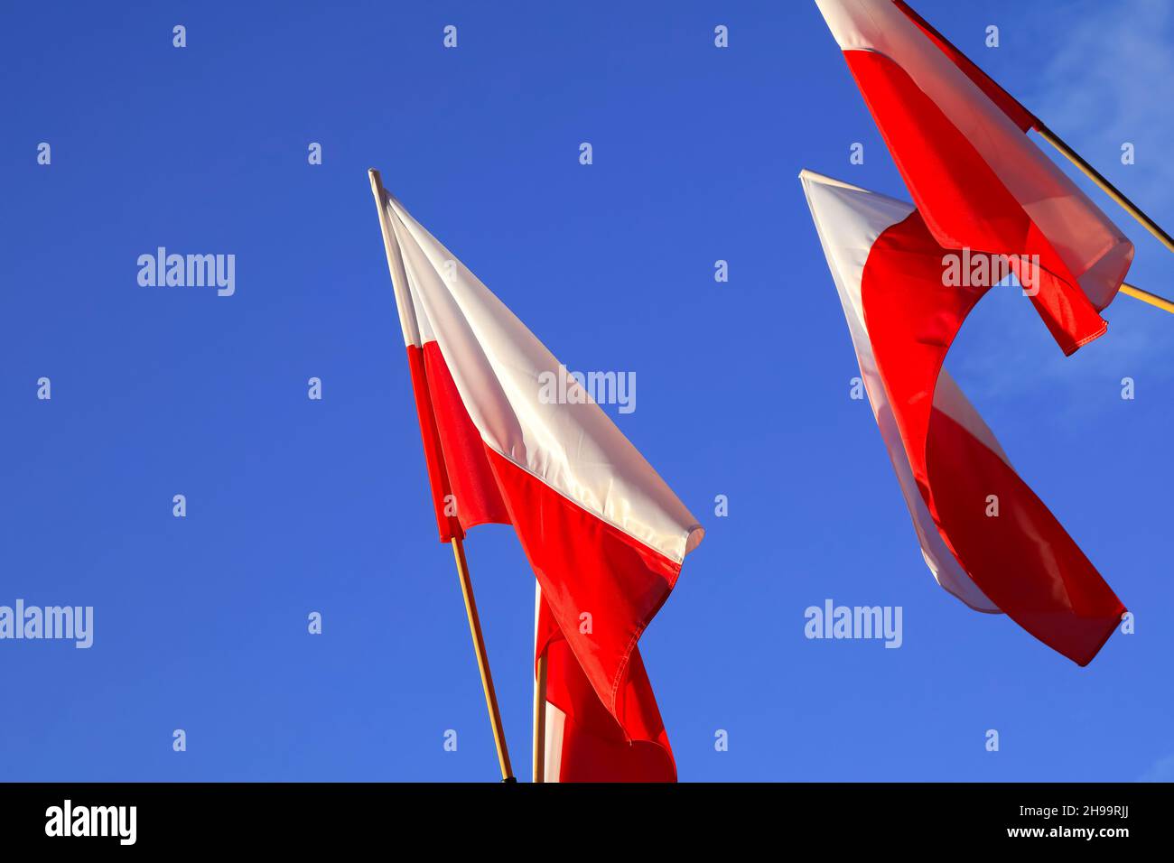 There are flags of Poland which are seen in the a wind day against the ...