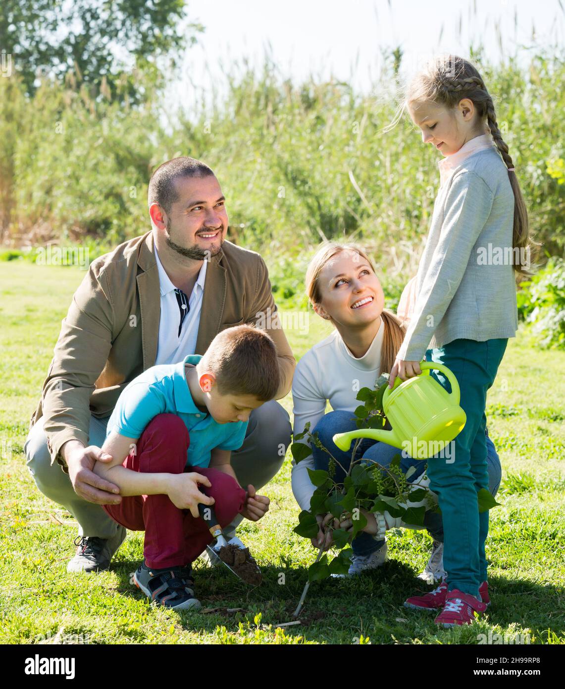 Parents with two kids planting a bush Stock Photo - Alamy