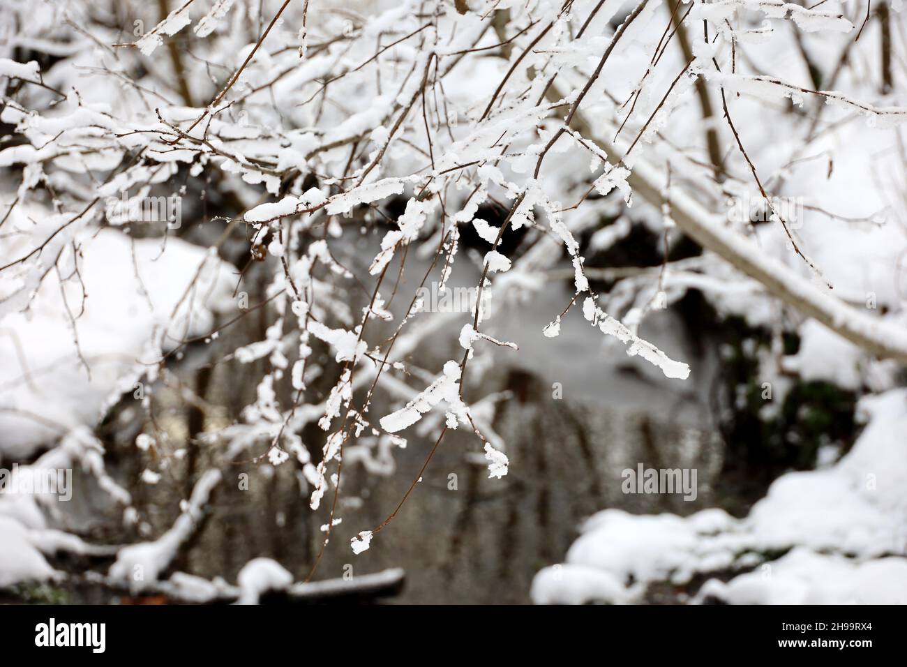 Stream background hi-res stock photography and images - Alamy