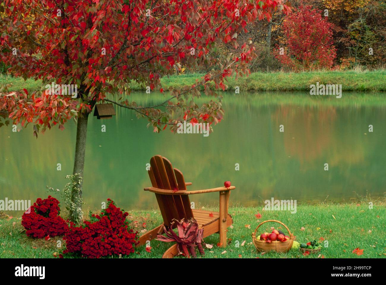 A peaceful scene in fall with reflections in the lake and an Adirondack ...