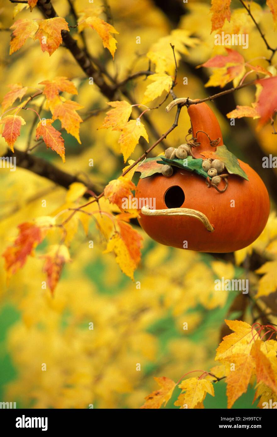 Gourd crafts hi-res stock photography and images - Alamy