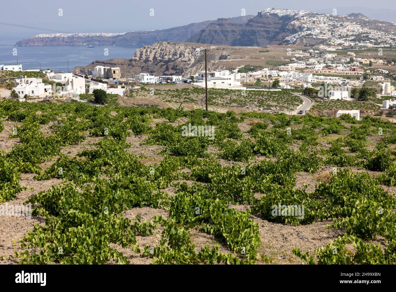 Assyrtico grape hi-res stock photography and images - Alamy