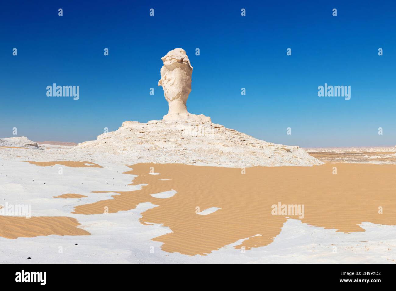 Desert mushrooms hi-res stock photography and images - Alamy