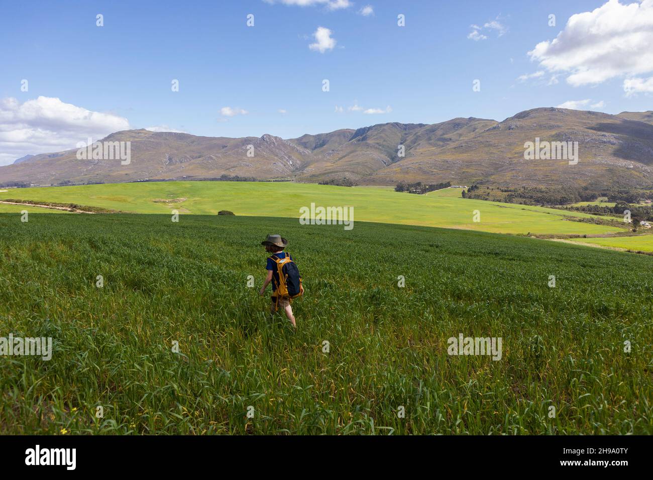 Young boy walking, Stanford Valley Guest Farm, Stanford, Western Cape ...