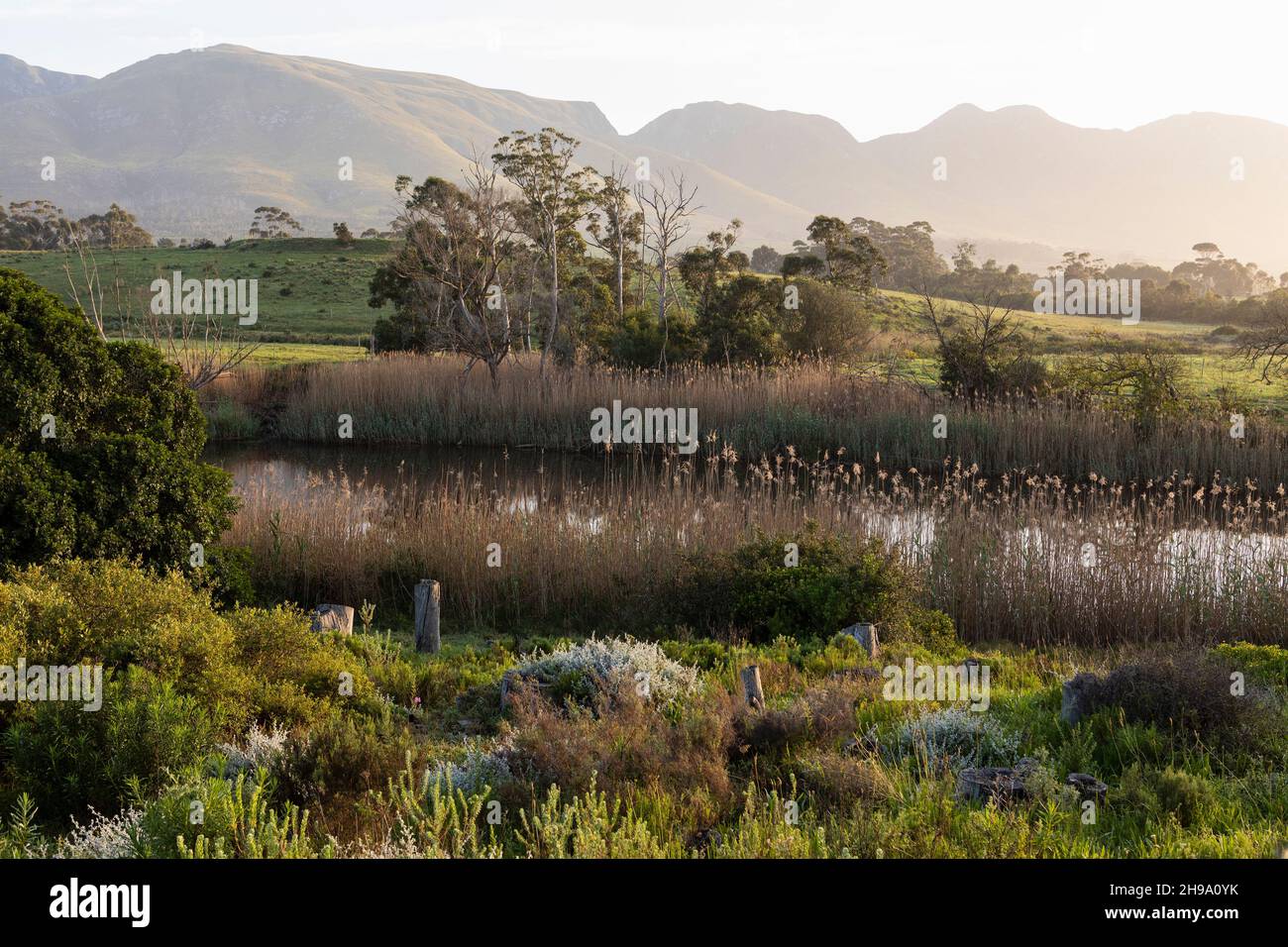 Wandel Pad, Stanford, Western Cape, South Africa Stock Photo - Alamy