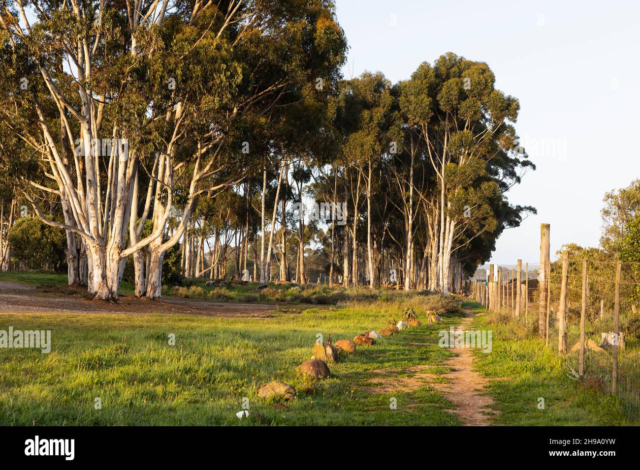 Wandel Pad, Stanford, Western Cape, South Africa Stock Photo - Alamy