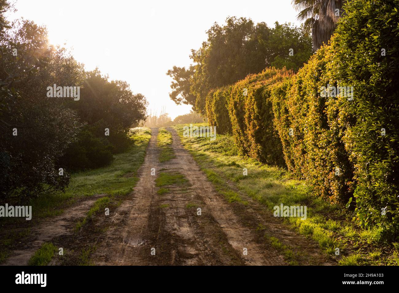 Wandel Pad, Stanford, Western Cape, South Africa Stock Photo - Alamy