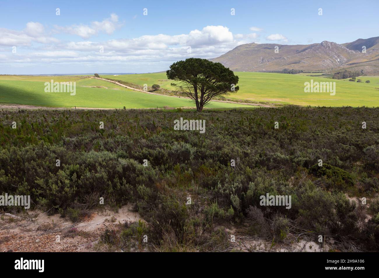 Landscape, Stanford Valley Guest Farm, Stanford, Western Cape, South ...