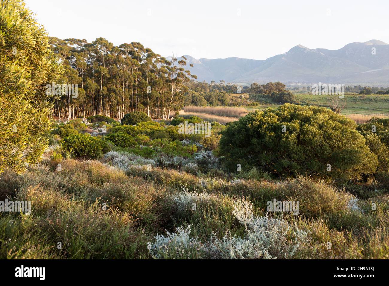 Wandel Pad, Stanford, Western Cape, South Africa Stock Photo - Alamy