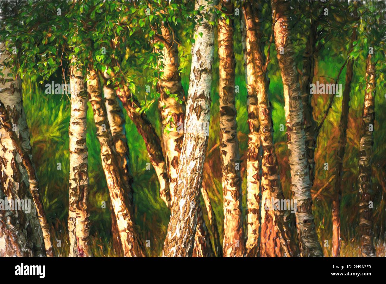 Green birch forest at sunrise, Multicolored texture painting Stock ...