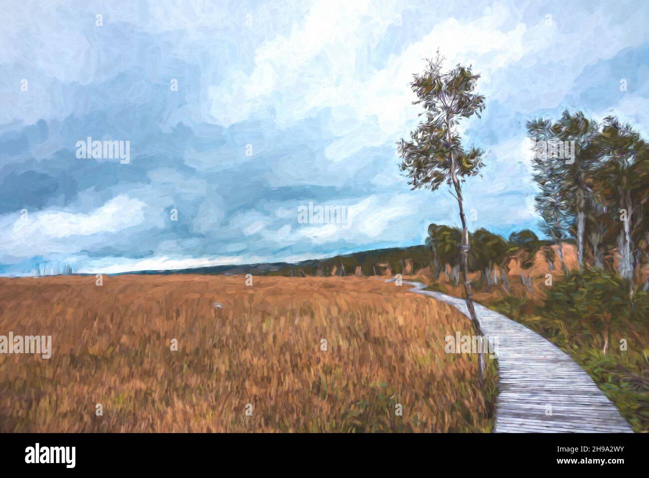 Panorama of the High Fens in autumn, Belgium. Multicolored texture ...
