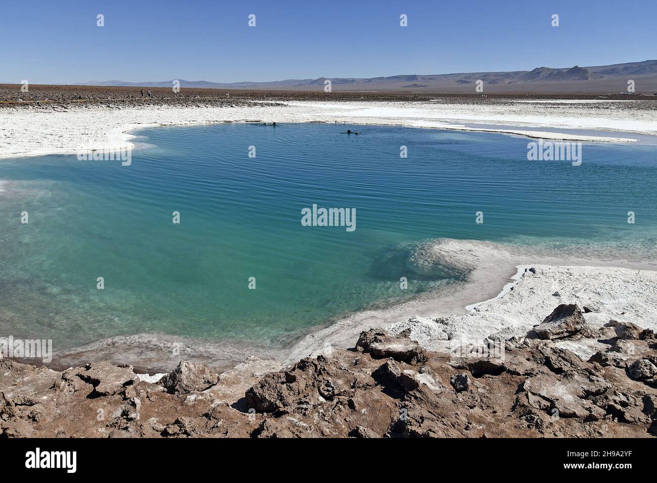 A beautiful view of a blue lake in the Atacama Desert in Chile Stock ...