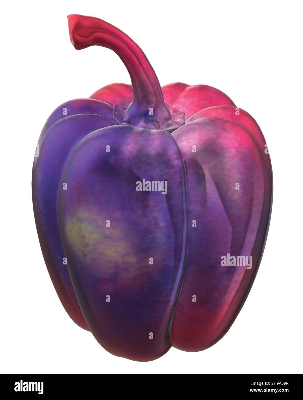 Purple Pink Bell Pepper Shiny Metal Decoration Figurine Stock Vector ...