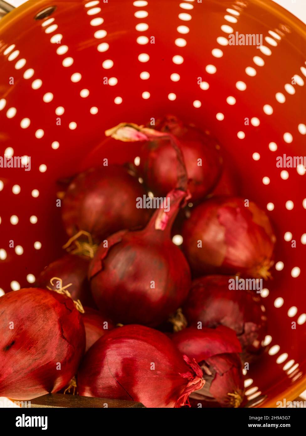 Close-up food still life with Red Onions rolling out of a red collinder ...