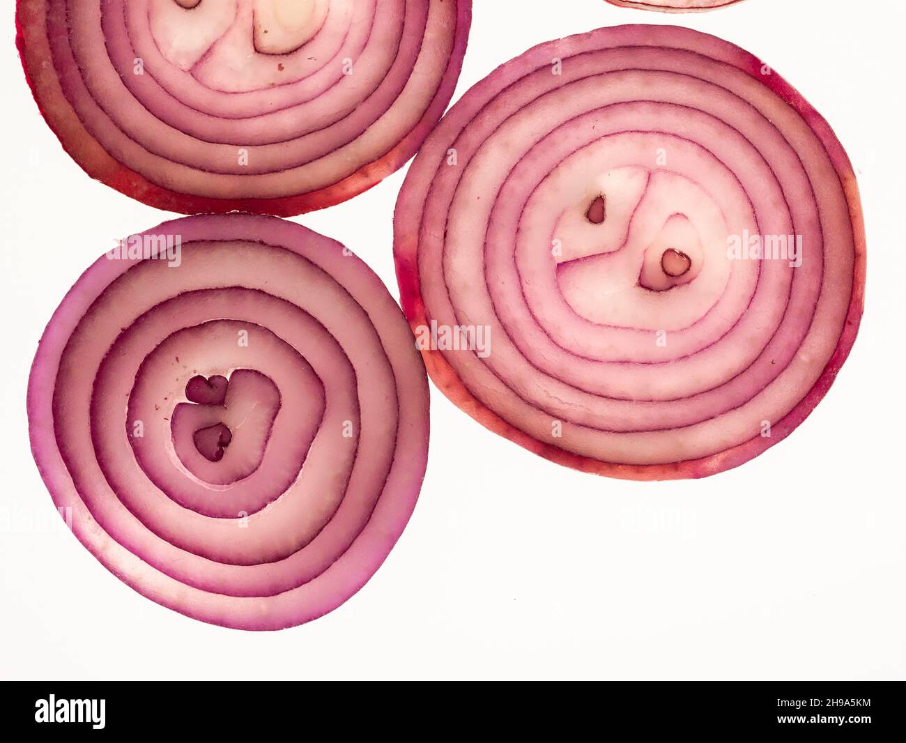 Food close-up still-life of Red Onions against a plain background Stock ...