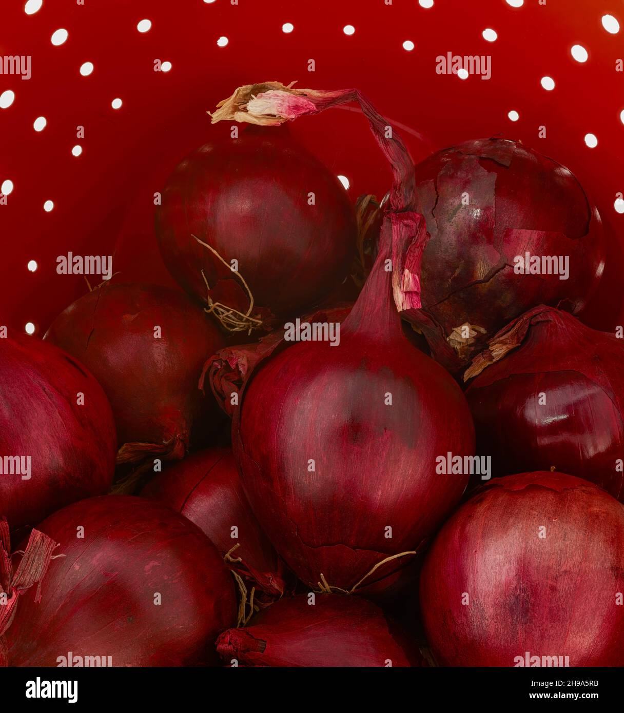 Close-up food still life with Red Onions rolling out of a red collinder ...