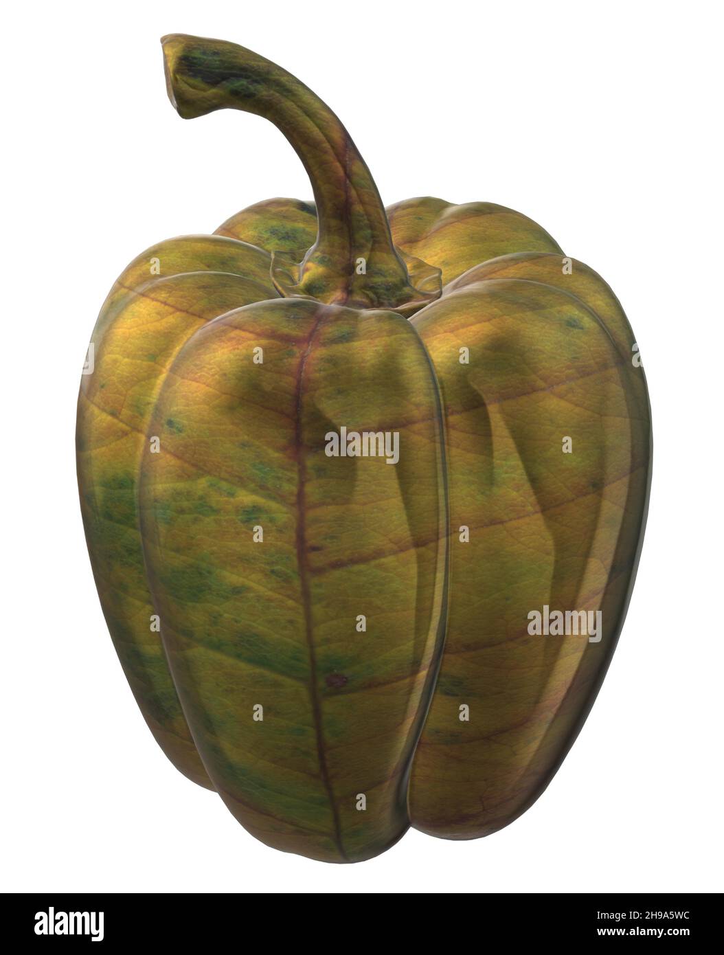 Gold Green Bell Pepper Shiny Metal Decoration Figurine Stock Vector ...