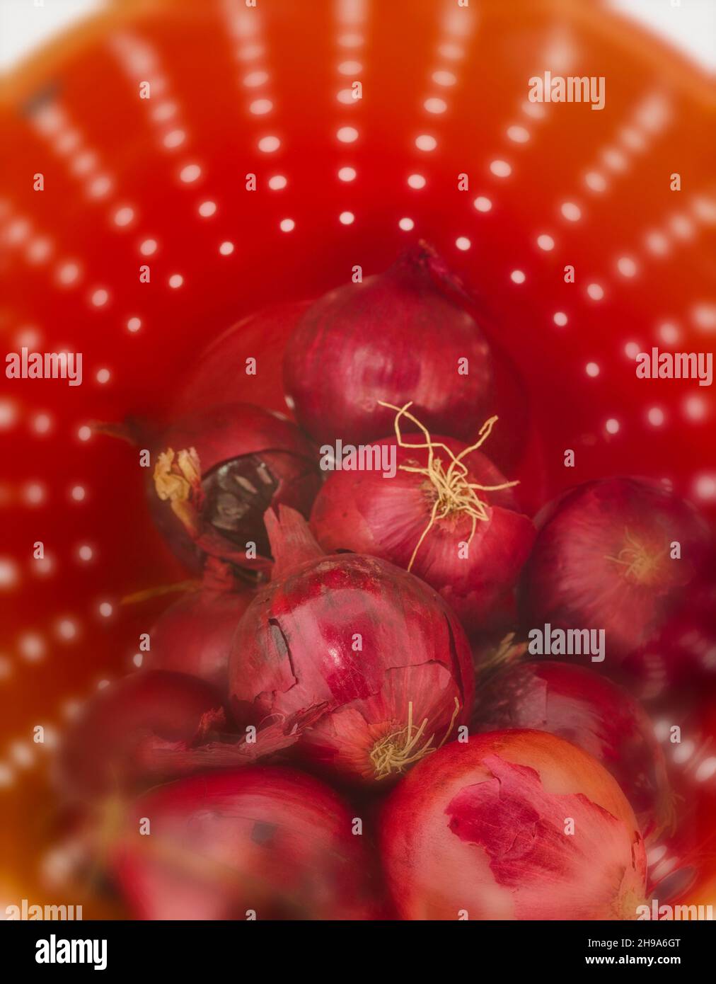 Close-up food still life with Red Onions rolling out of a red collinder ...