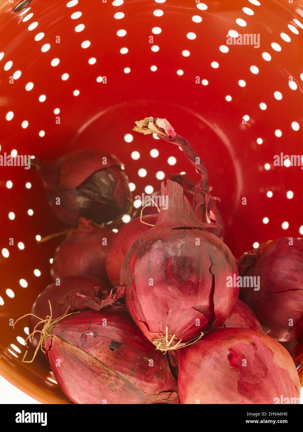 Close-up food still life with Red Onions rolling out of a red collinder ...