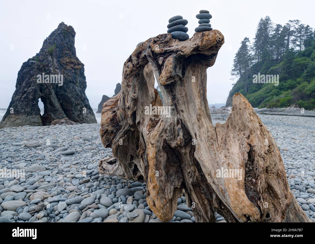 Washington olympic state park sunset hi-res stock photography and ...