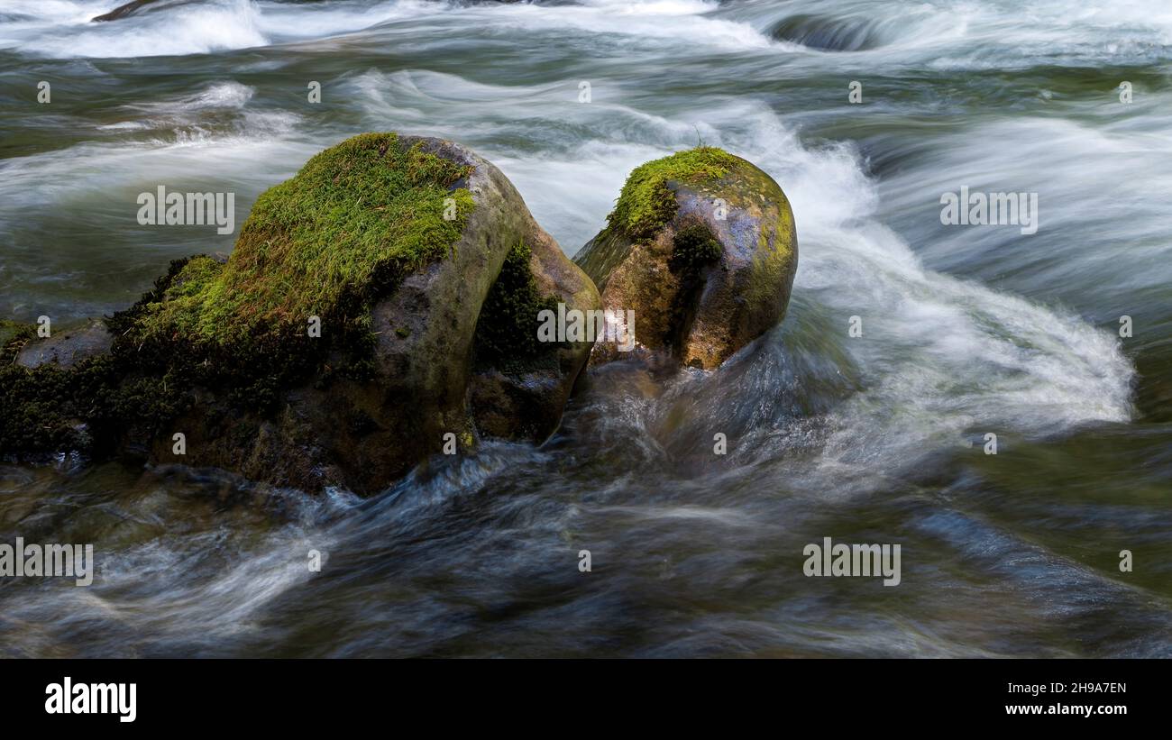 Sol Duc River, Olympic National Park, Washington State, USA Stock Photo ...
