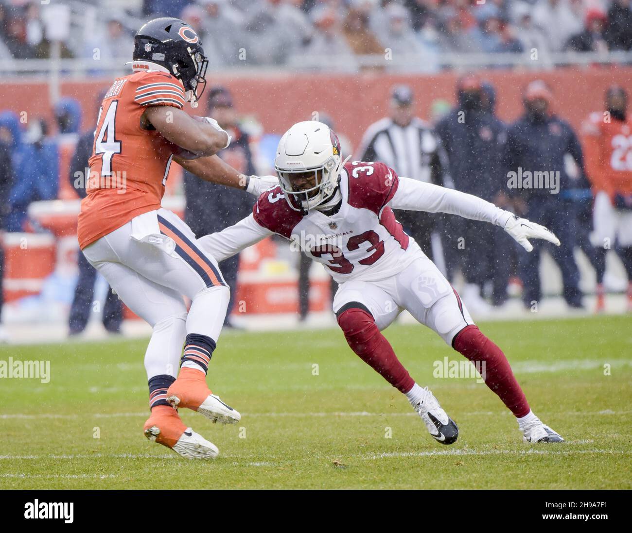 Hamilton cardinals hi-res stock photography and images - Alamy