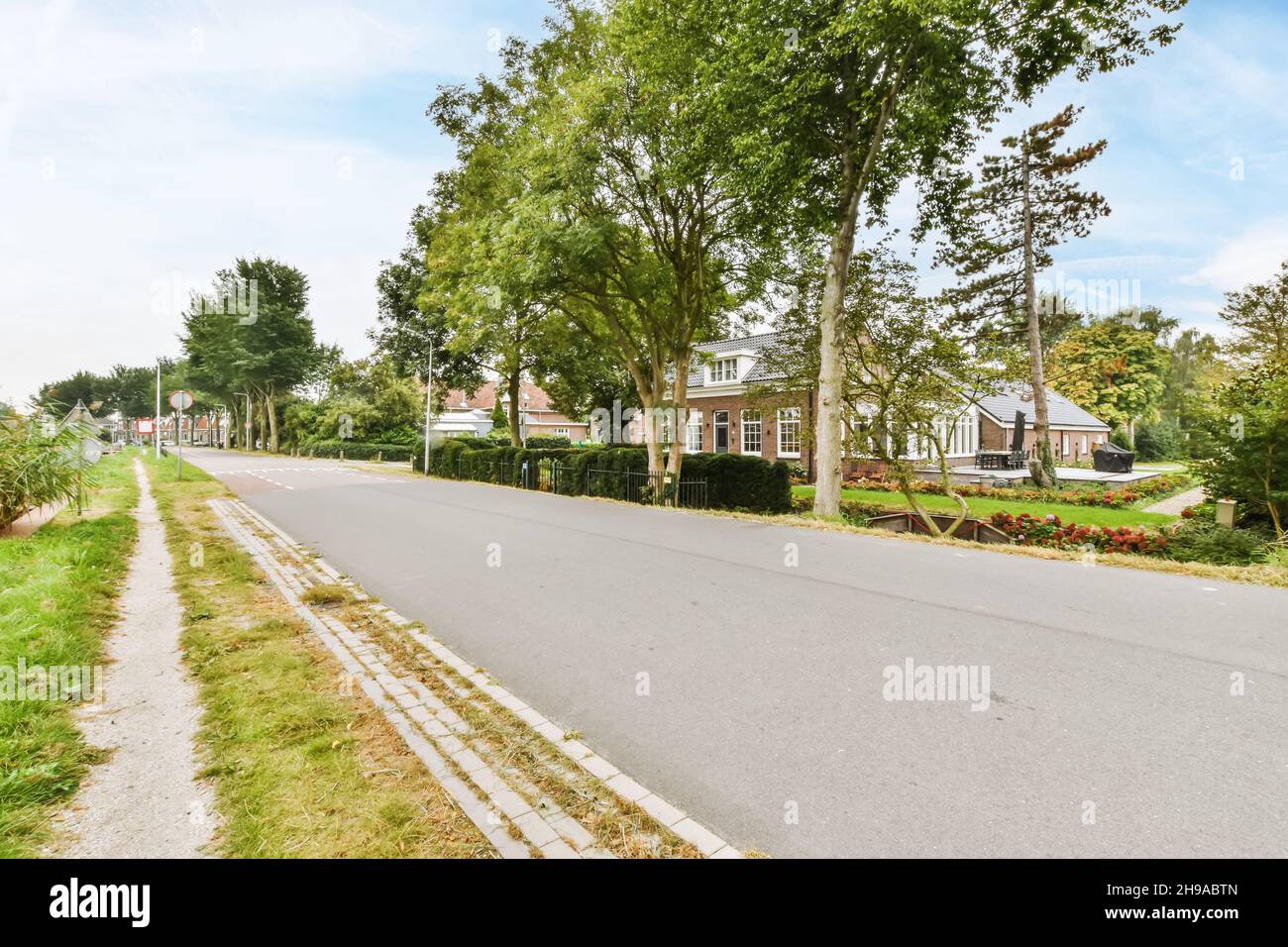 Greenery on the street hi-res stock photography and images - Alamy