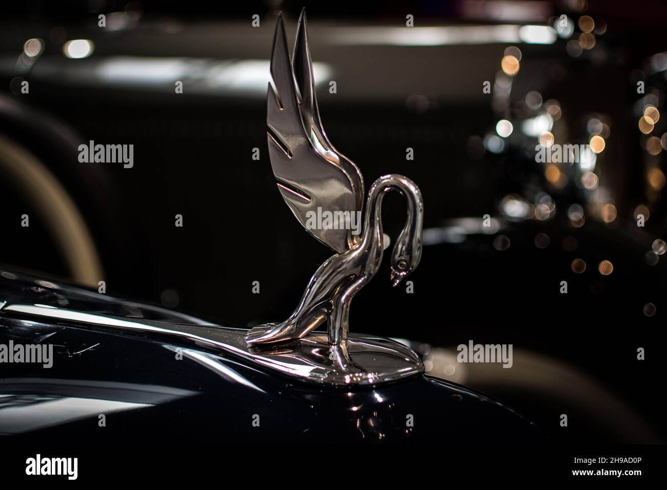 Swan emblem on a vintage car of Packard company Stock Photo - Alamy