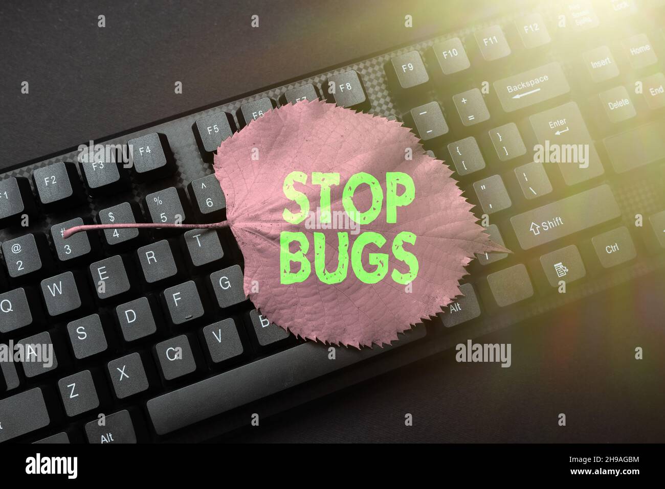 Writing displaying text Stop Bugs. Internet Concept Get rid an insect ... Writing displaying text Stop Bugs. Internet Concept Get rid an insect ...