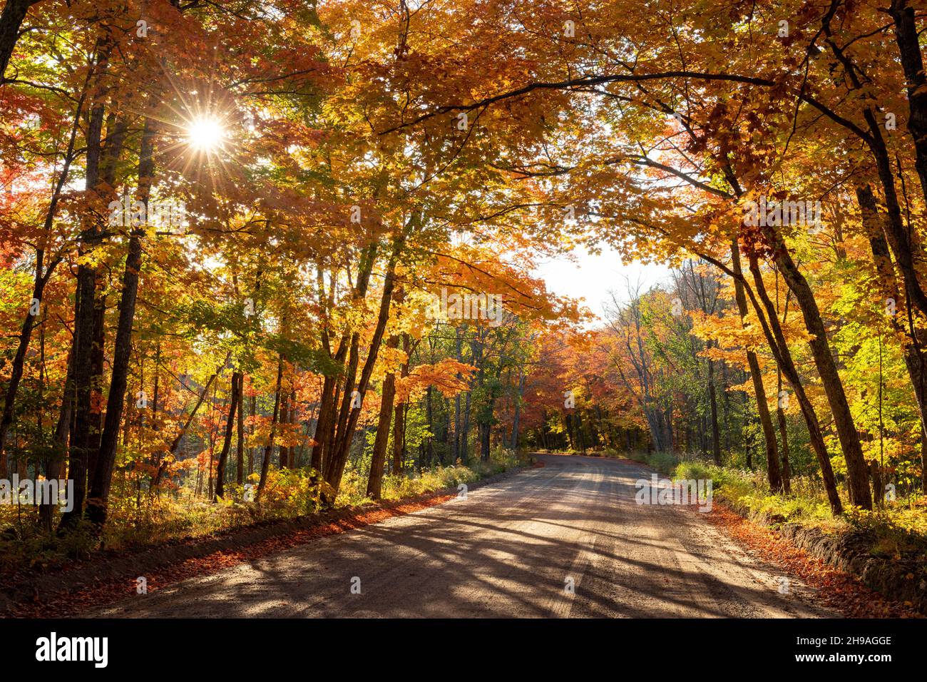 Autumn colors in north woods near Big Bay, Upper Peninsula, late ...