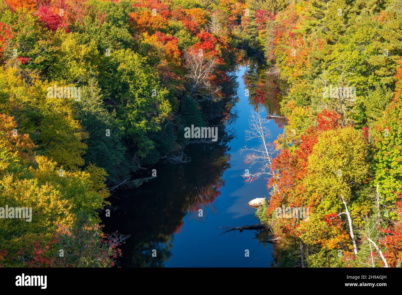 Autumn colors in north woods near Big Bay, Upper Peninsula, late ...