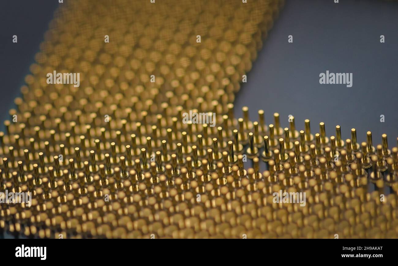 Back side of a computer processor, showing the golden pin layout ...