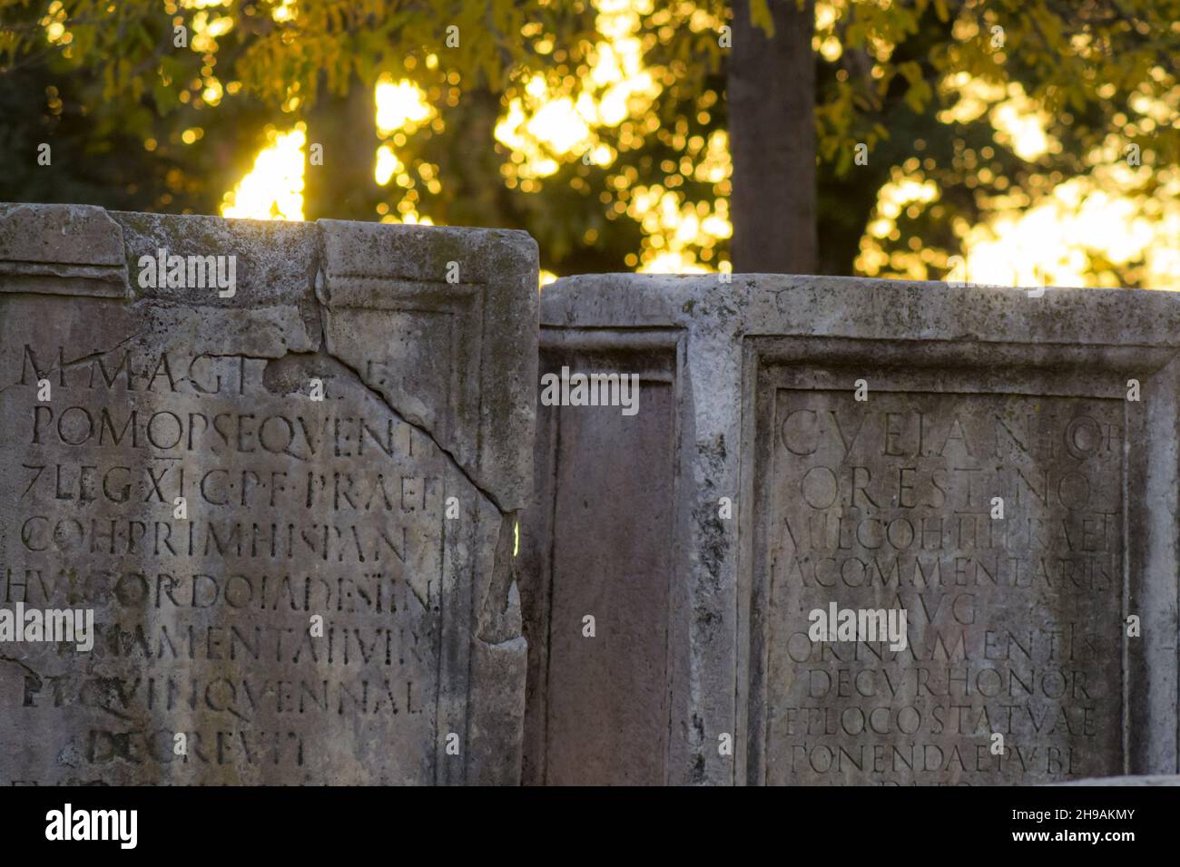 Closeup shot of ancient Roman letters carved in stone Stock Photo - Alamy