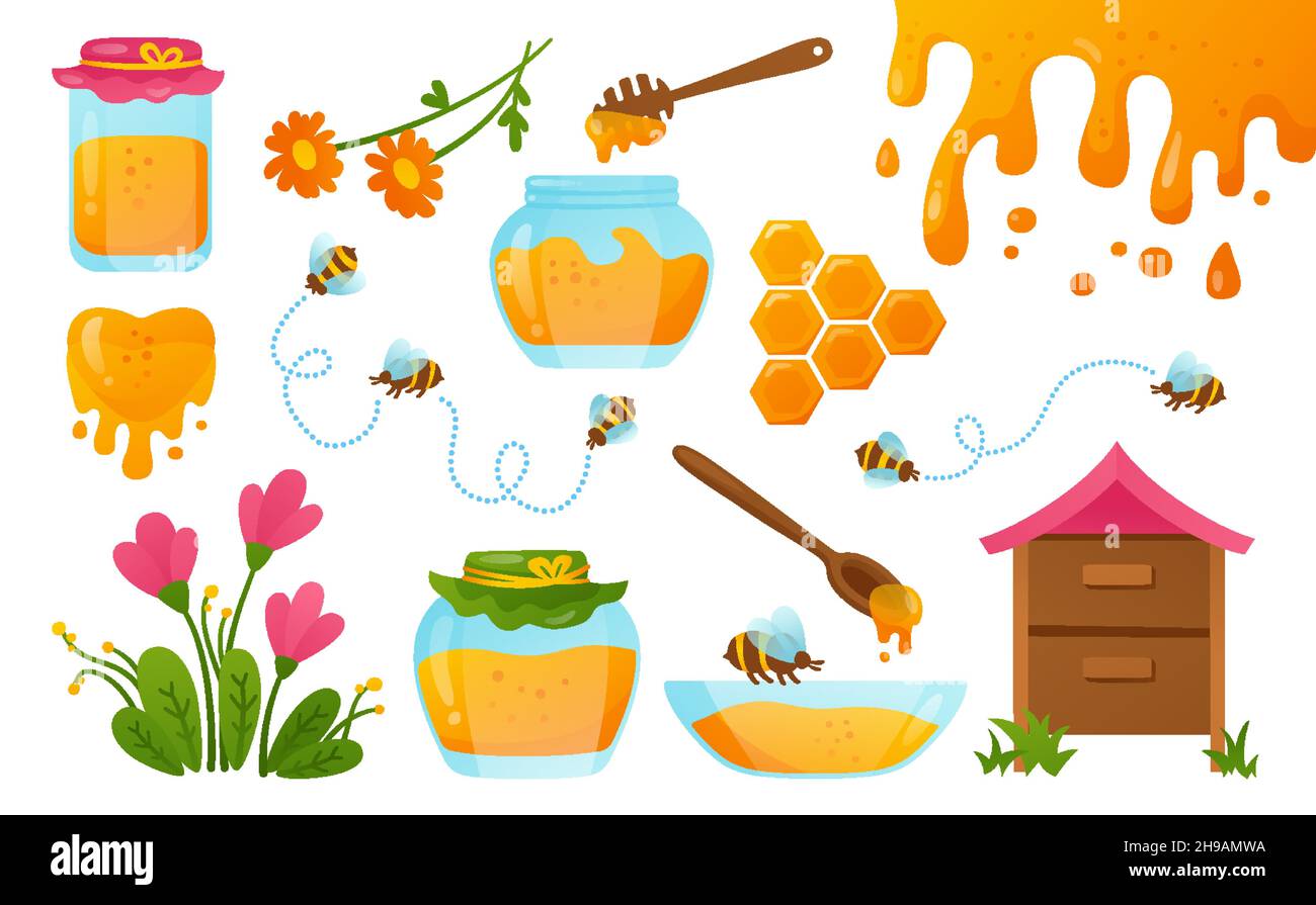 Honey in glass jar and bee, honeycomb set. Wooden honey dipper, drop ...