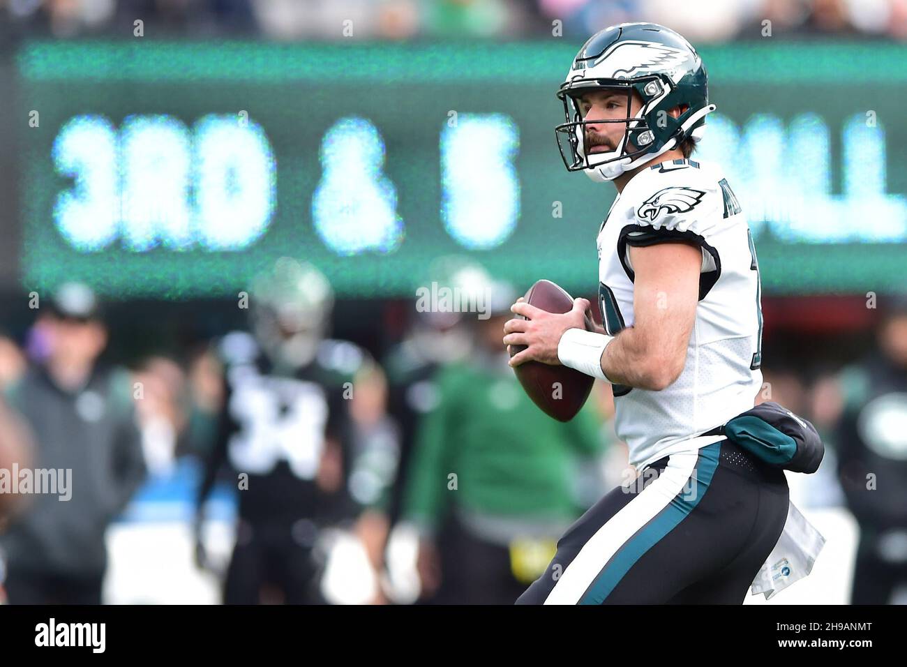 Gardner minshew eagles hi-res stock photography and images - Alamy