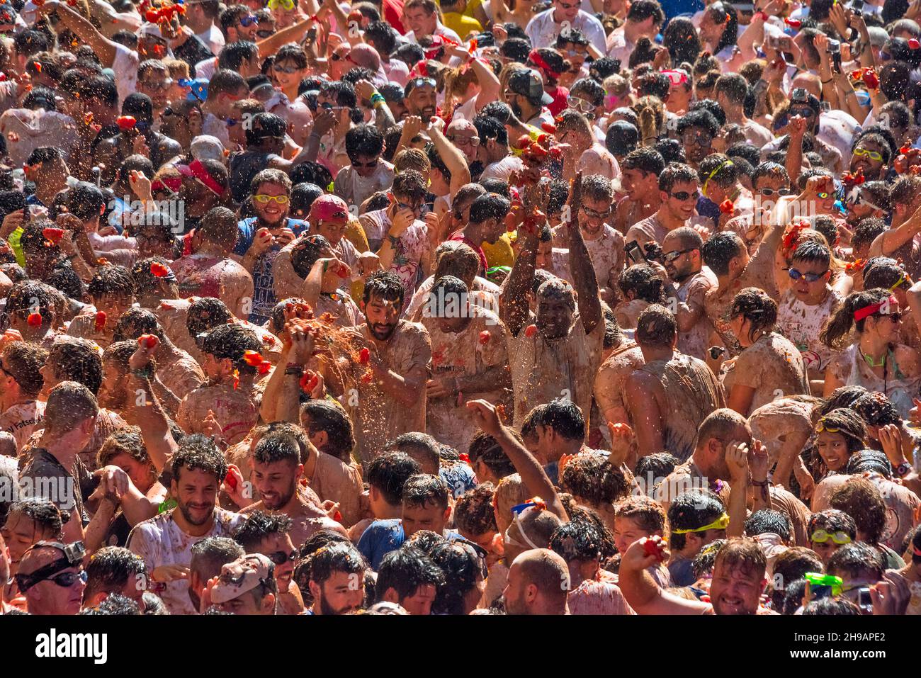 People throwing tomatoes at La Tomatina (Tomato Festival), Bunol ...