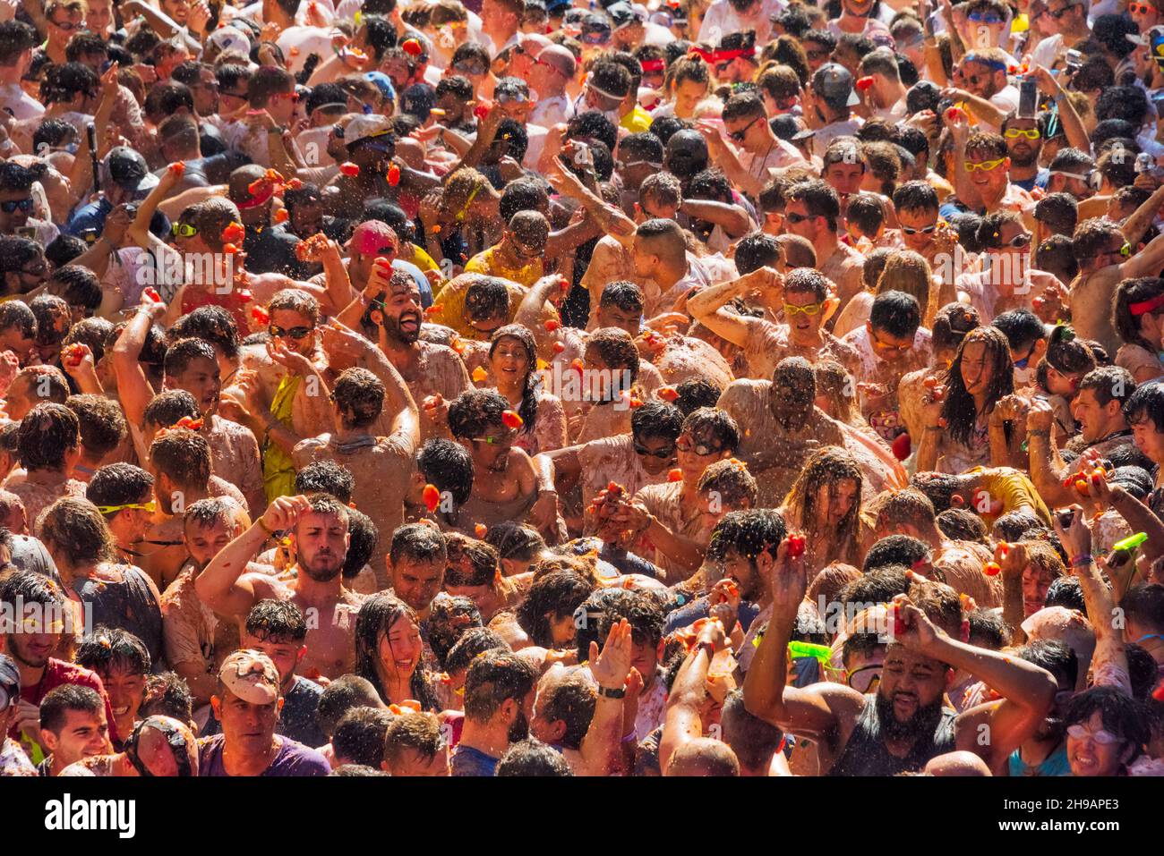 People throwing tomatoes at La Tomatina (Tomato Festival), Bunol ...
