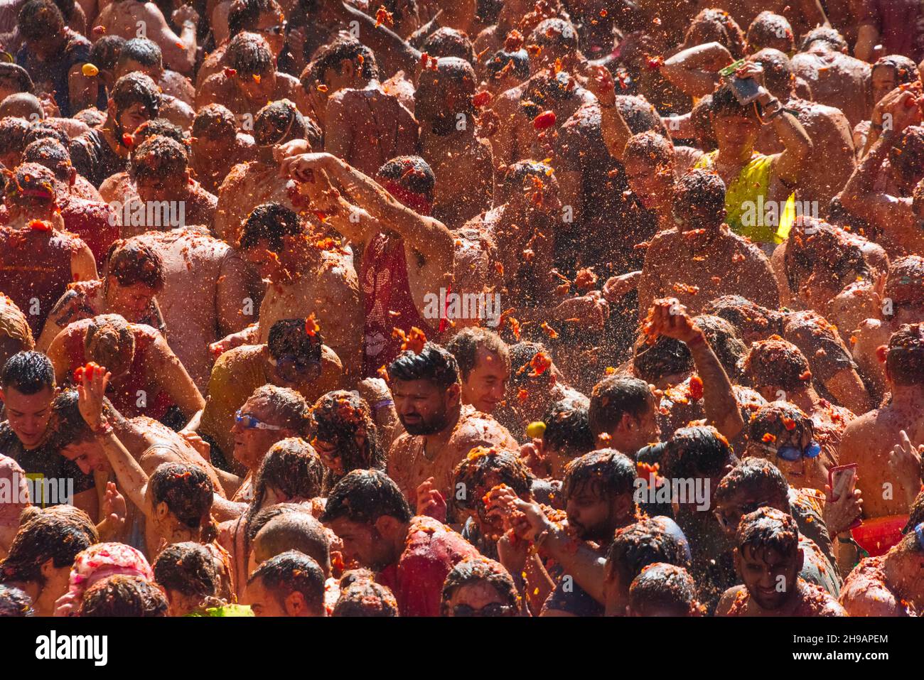 People throwing tomatoes at La Tomatina (Tomato Festival), Bunol ...