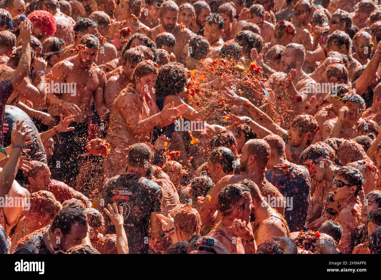 People throwing tomatoes at La Tomatina (Tomato Festival), Bunol ...