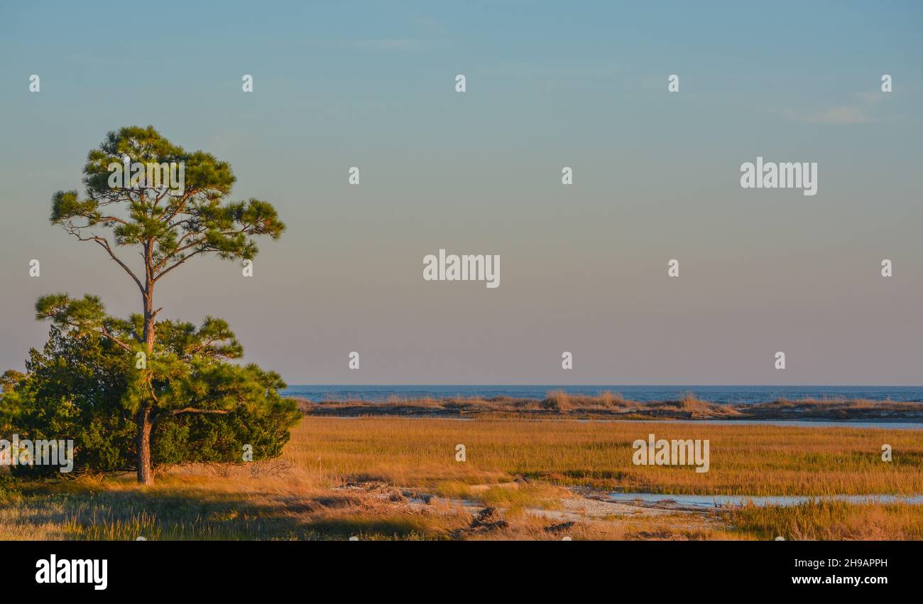 The Marsh in Hunting Island State Park. On the Atlantic Ocean, Hunting ...
