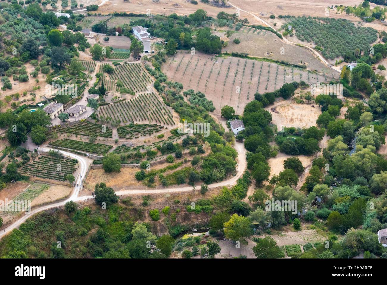 Olive farming europe hi-res stock photography and images - Alamy