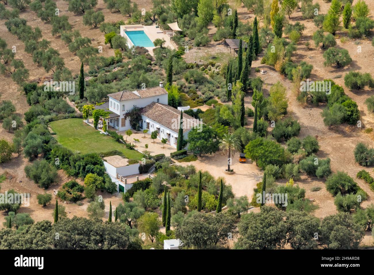 Olive farm in the mountain, Ronda, Malaga Province, Andalusia ...
