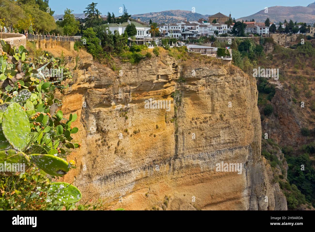 Hanging top hi-res stock photography and images - Alamy