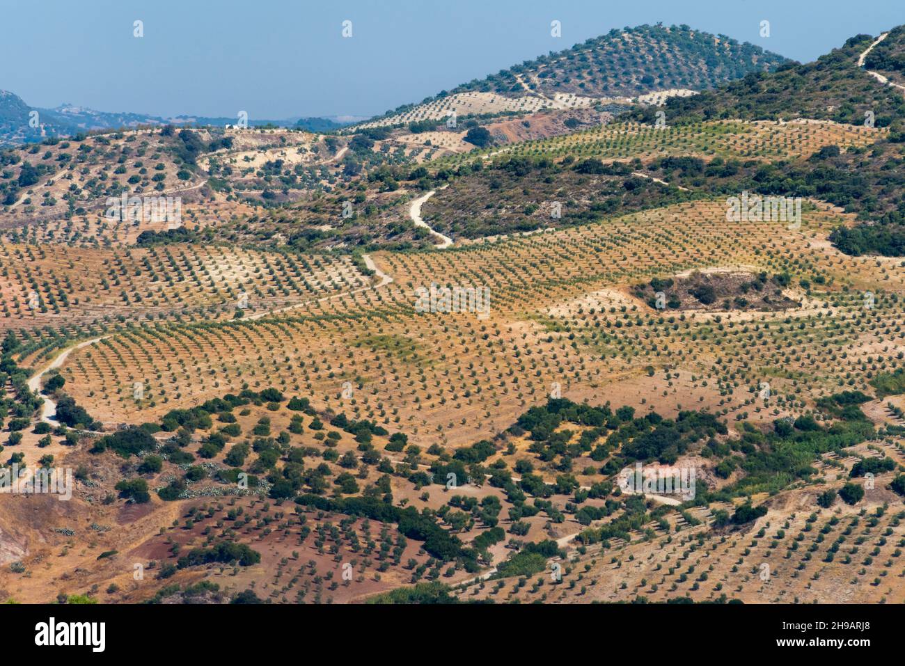Olive farming hi-res stock photography and images - Alamy