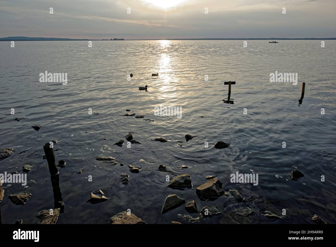 Sunset at Steinhuder Meer,Hanover,Germany.Steihuder Meer Nature Park ...