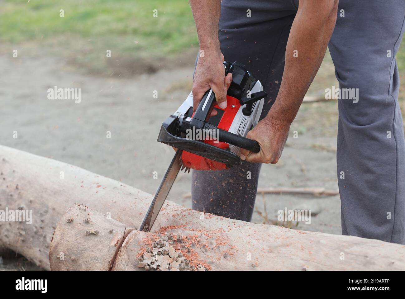 man with chainsaw cutting log Stock Photo - Alamy